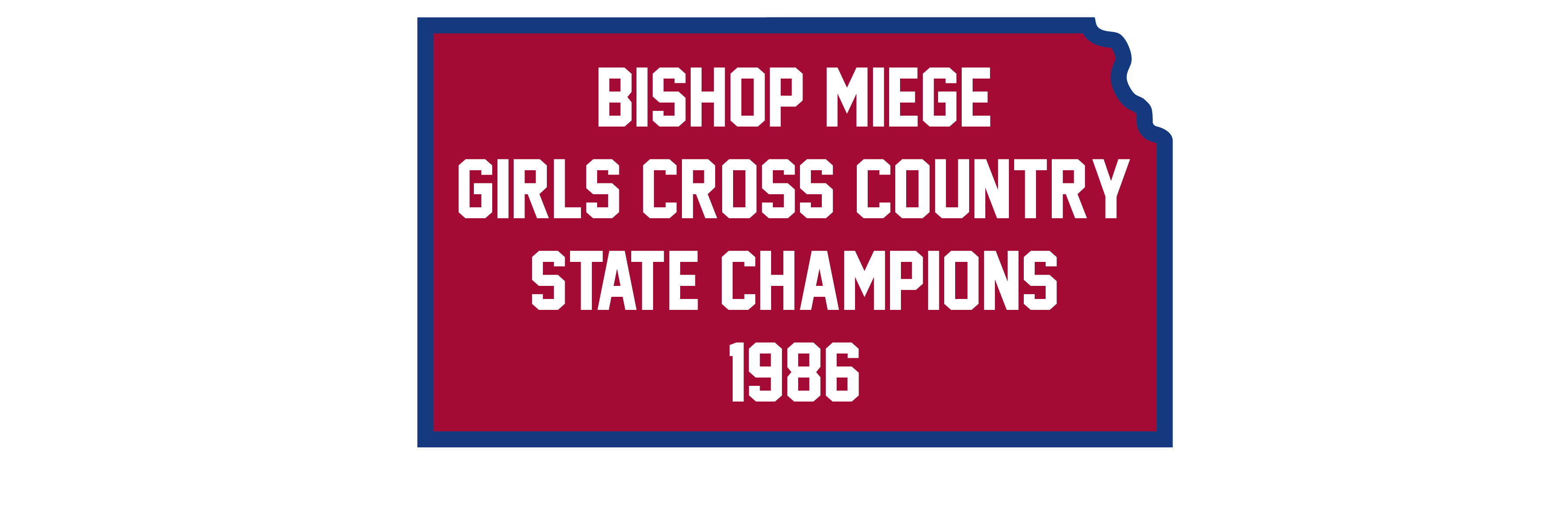 1986 Girls Cross Country – US Awards